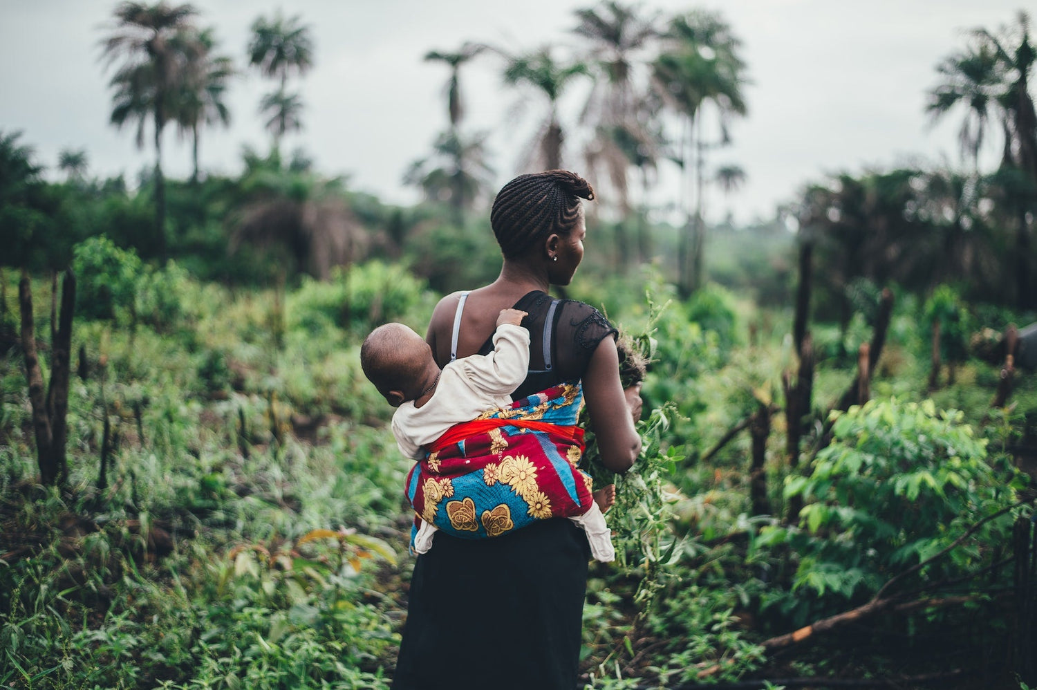 Fair Trade vs. Ethical Tea Partnerships: A Comparative Analysis ...
